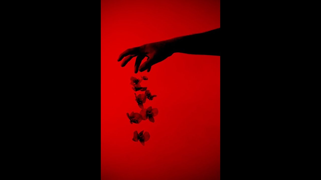 Paranormal Flower Edit - YouTube