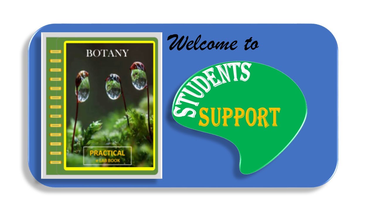 Botany e Record - YouTube