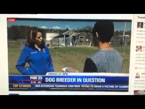 Griffin Shepherd Kennels on Fox 25 Expose 5/6/15 10 pm EST promo - YouTube