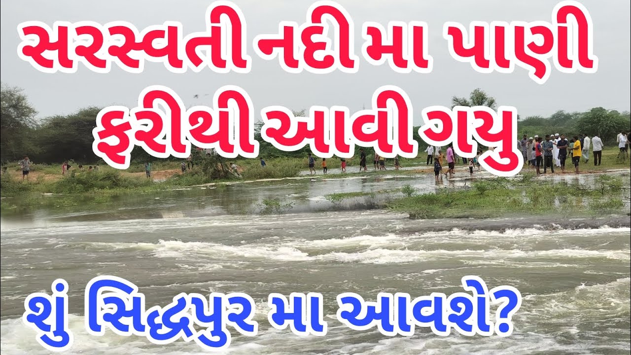 સરસ્વતી નદી મા ફરીથી પાણી ચાલુ | શું સિદ્ધપુર મા આવશે | Saraswati nadi ...
