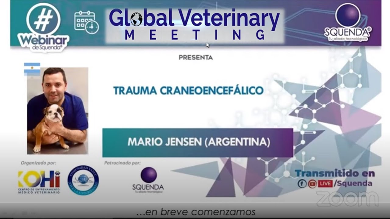 Trauma Craneoencefálico – Dr Mario Jensen - YouTube