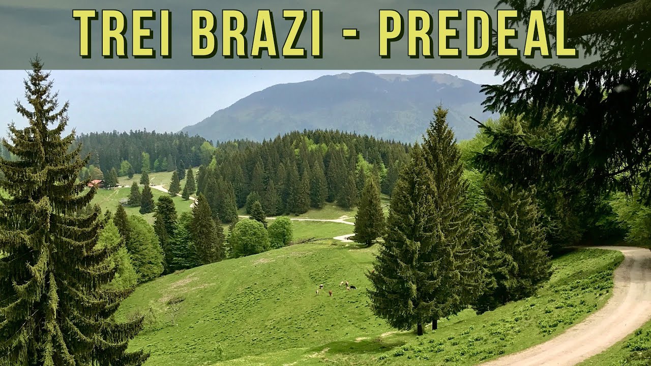 Trei Brazi Predeal | Un traseu cu priveliști elvețiene - YouTube
