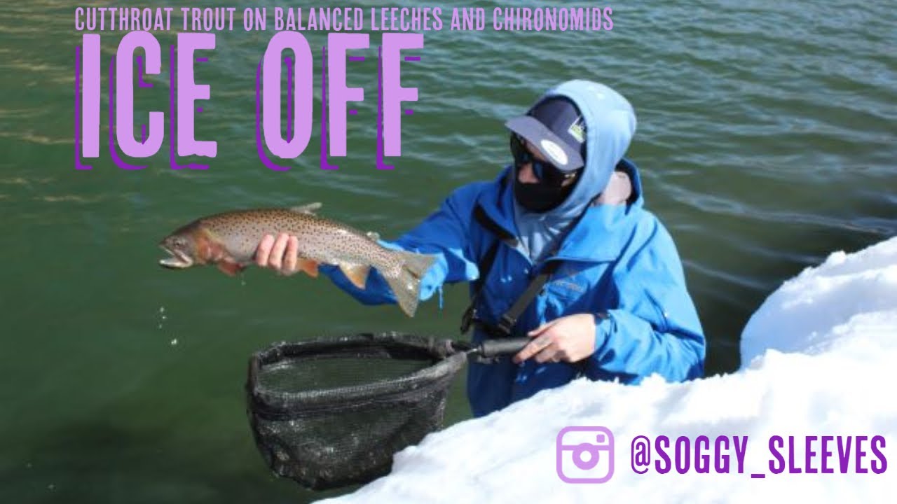ICE OFF part 1: Fly Fishing for Reservoir Cutthroat Trout - YouTube