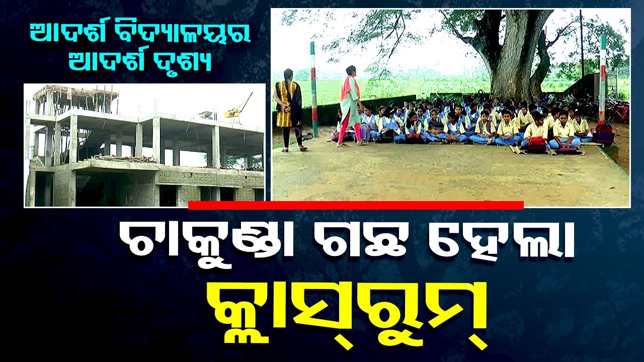 Sans infrastructure, school in Odisha’s Pipili running under tree - YouTube