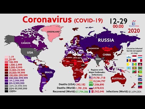 The Road to 80 Million Infections: Coronavirus in 2020