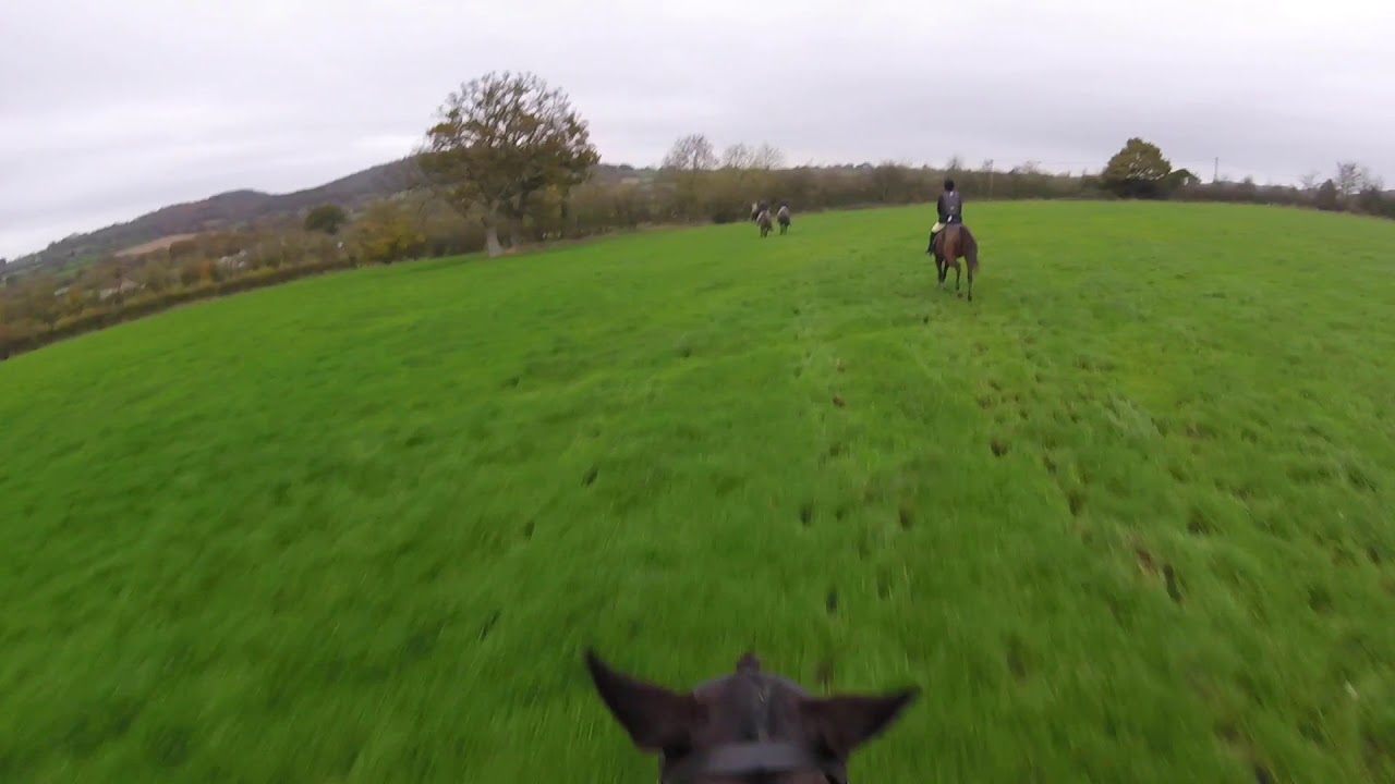 Portman Hunt 18/11/17 - YouTube