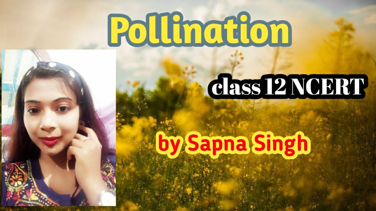 Pollination: Biology : class 12 (NCERT) - YouTube