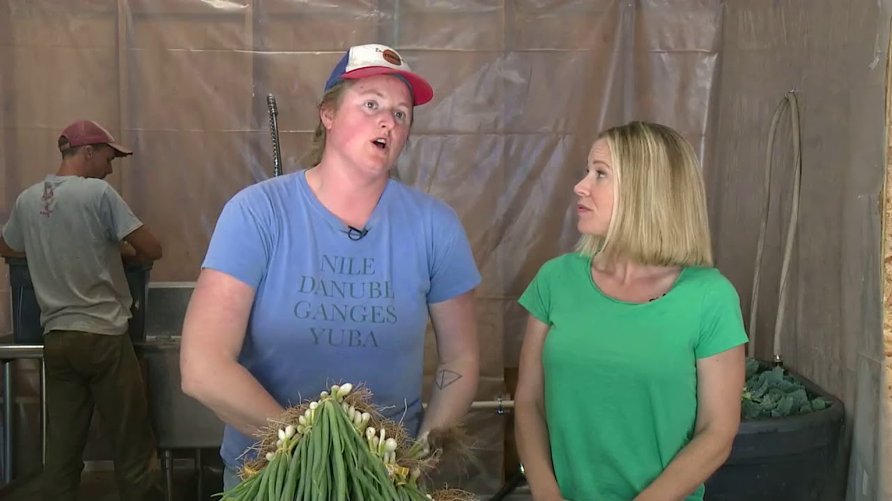 Flying V Farm - Placerville - YouTube