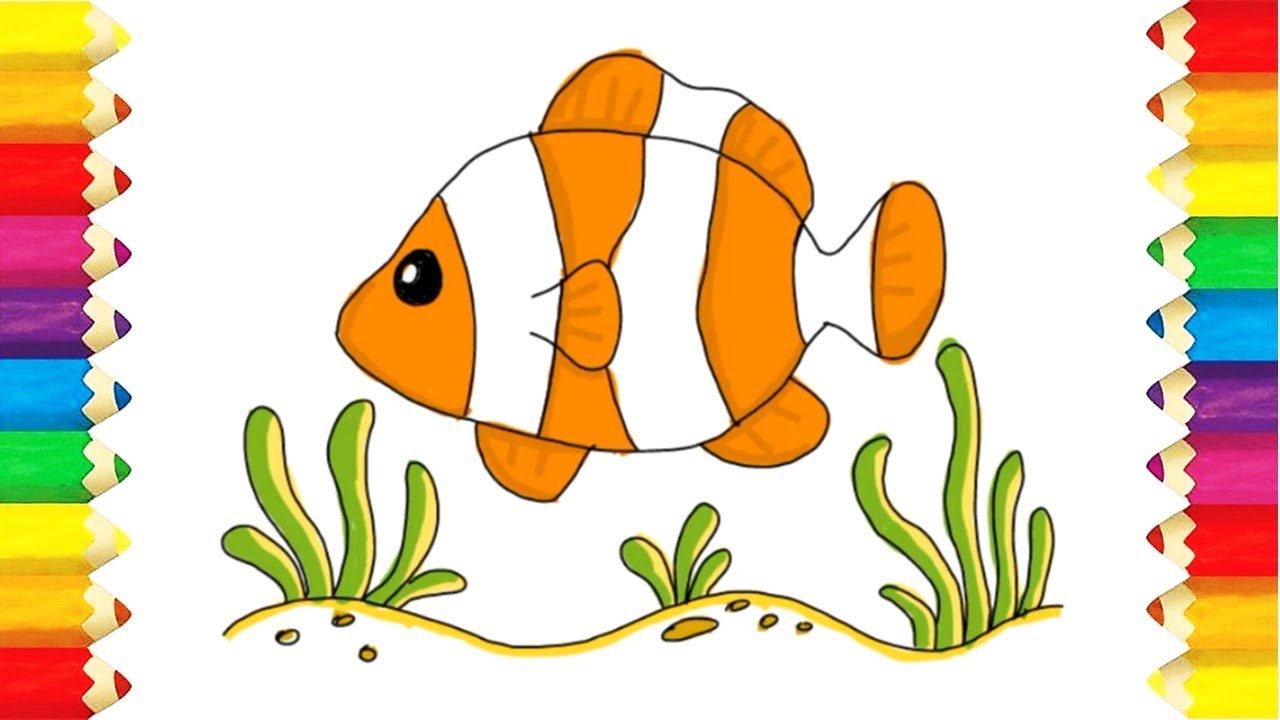 Gambar Ikan Nemo