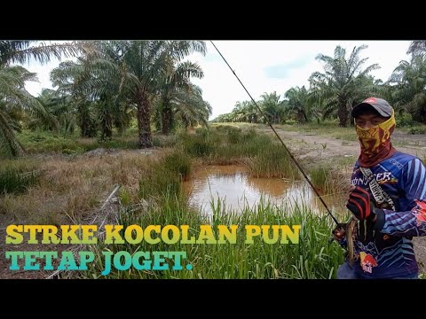 casting dipingiran jalan sawit, kiu 2, // casting ikan gabus - YouTube