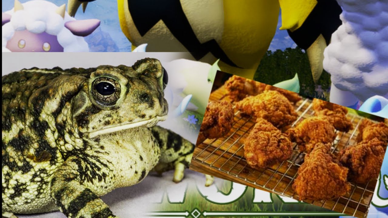 Toad and Chicken! Palworld and a NEW BASE! - YouTube