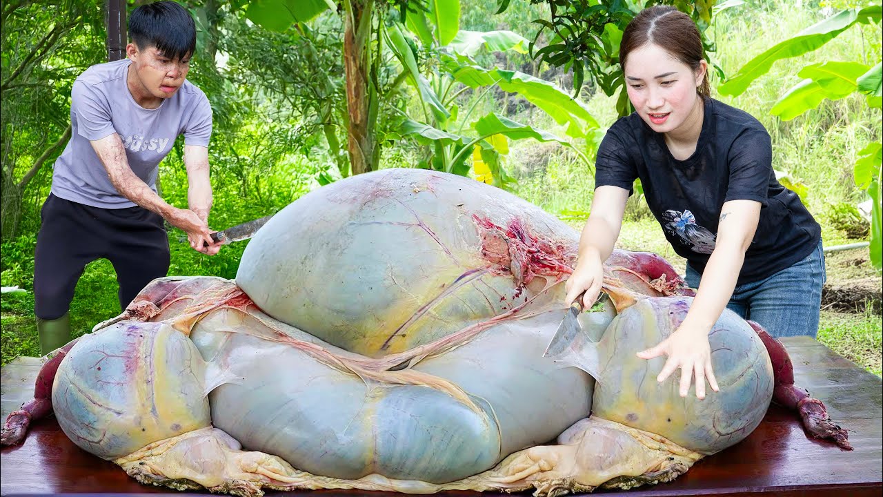 ''Giant Cow Stomach'' How To Clean & Cook Cow Stomach | What's Inside A ...