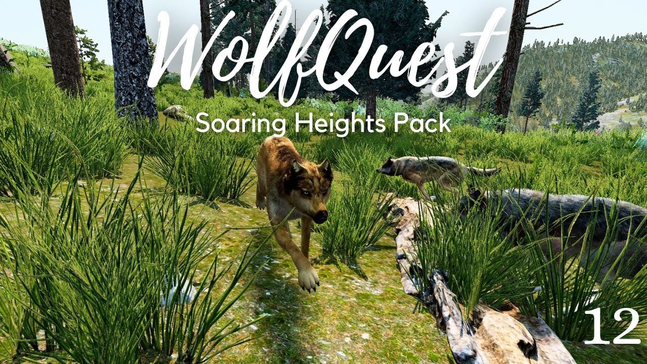 Catching Up! | WolfQuest: Anniversary Edition | Soaring Heights Pack ...
