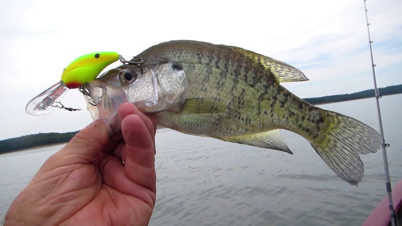 FISH4FUN: TRYING OUT MY BROTHER'S NEW ROD HOLDERS - YouTube