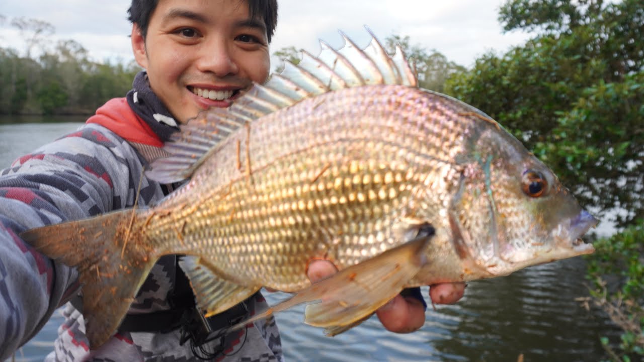 Mind BLOWN! Insane Fishing Session! | Georges River Fishing - YouTube