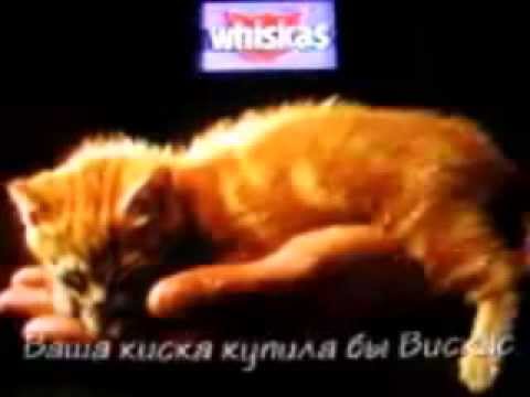 Whiskas commercial 90s Russia Ваша киска купила бы Вискас