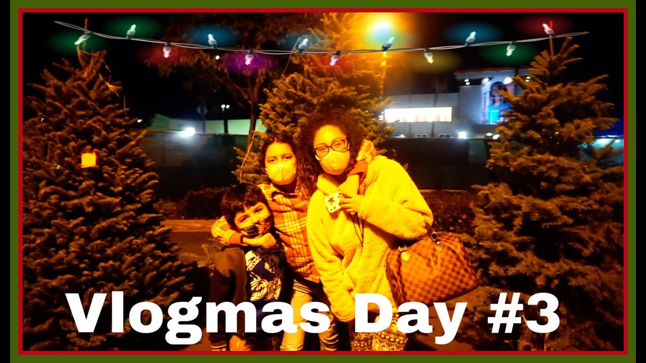 Getting Our Christmas Tree Vlogmas Day 3 Youtube