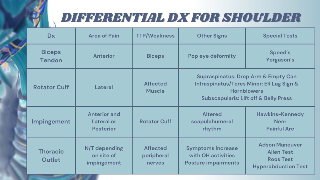 Shoulder Pathology and Differential Diagnosis with NPTE Musculoskeletal ...
