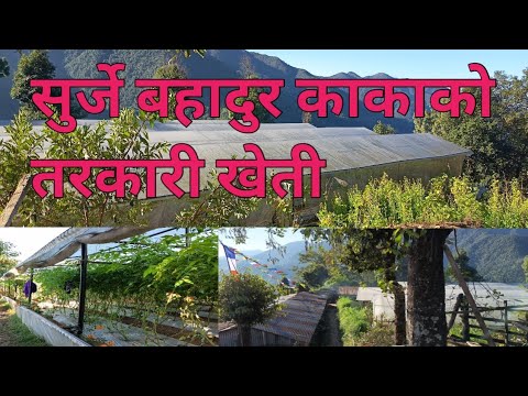 Kaka Haruko Tarkari farm Tira Ghumgham Gariyo Vlog Video - YouTube