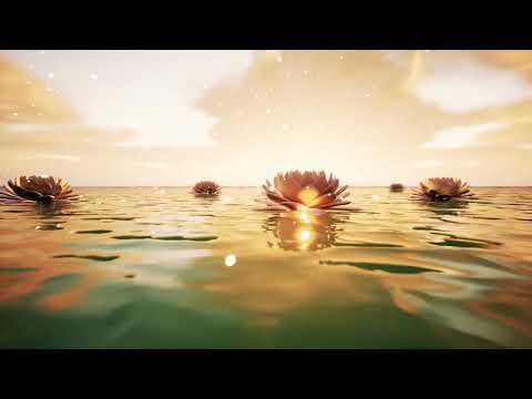 lotus floating background video
