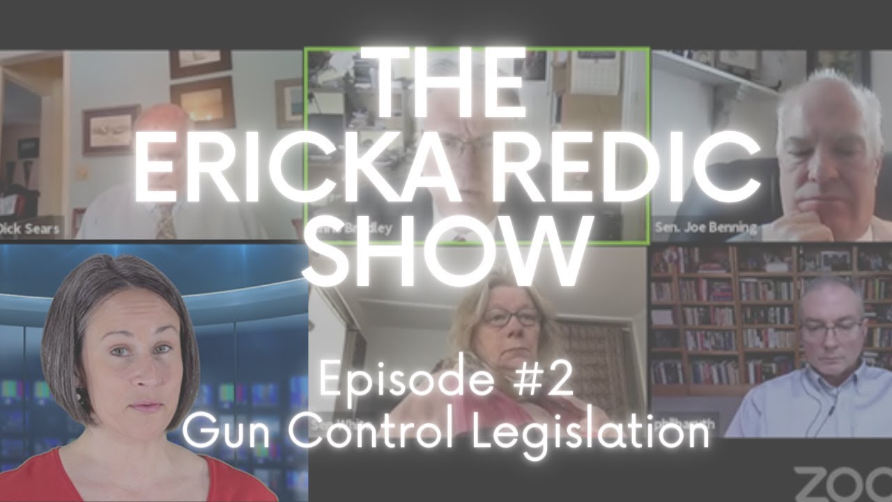 The Ericka Redic Show Episode #2 Gun Control Legislation - YouTube