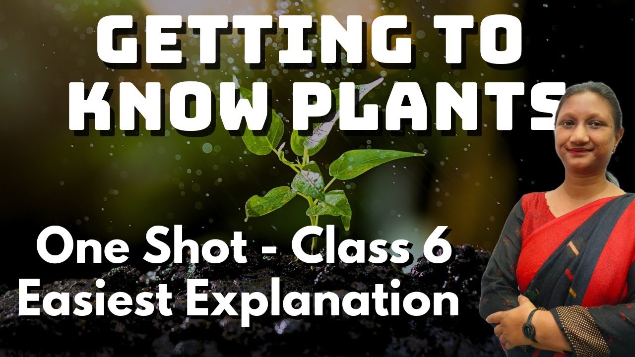 Class 6 Science Chapter 4| Getting to know plants| Ncert| One Shot ...