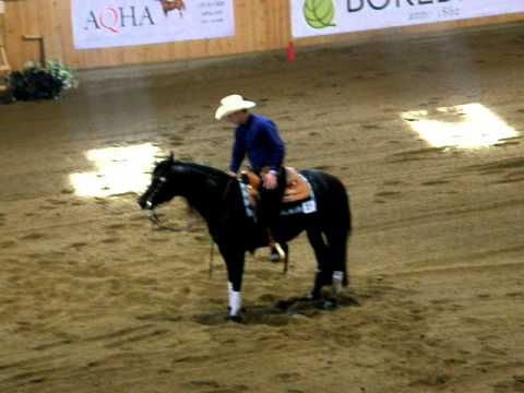 FEI World Reining Finals 2011 - Custom Blackberry spins - YouTube