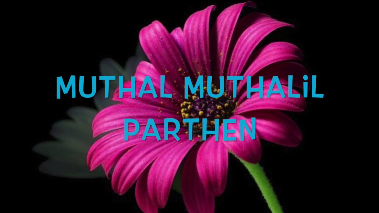 Muthal Muthalil Parthen. - YouTube