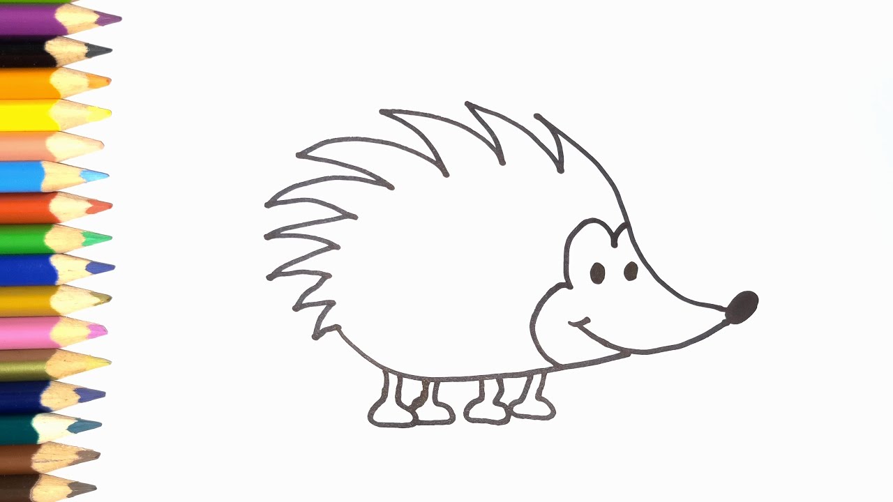 How to draw a Hedgehog for kids - YouTube