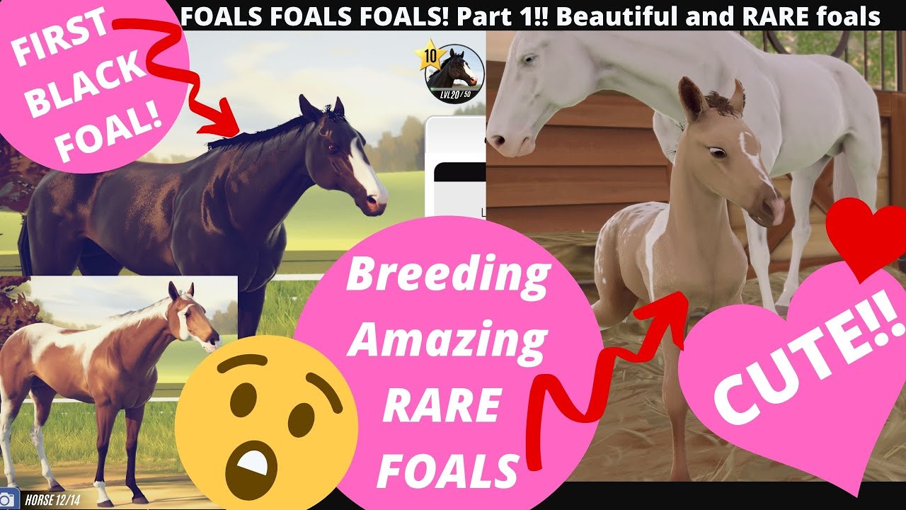 RARE Foals FOALS Foals! Bred my first pure BLACK horse. RIVAL STARS ...