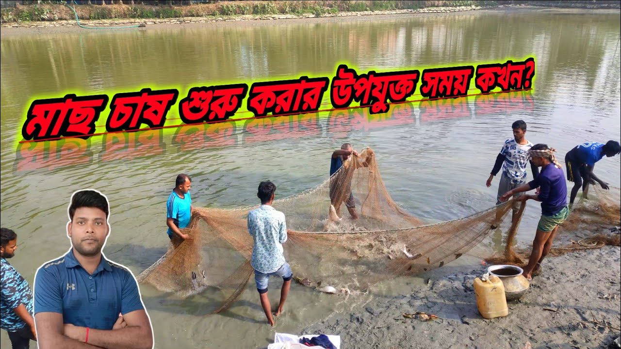 পুকুরে মাছ কখন ছাড়তে হয় জানেন? Know when to release the fish in the ...