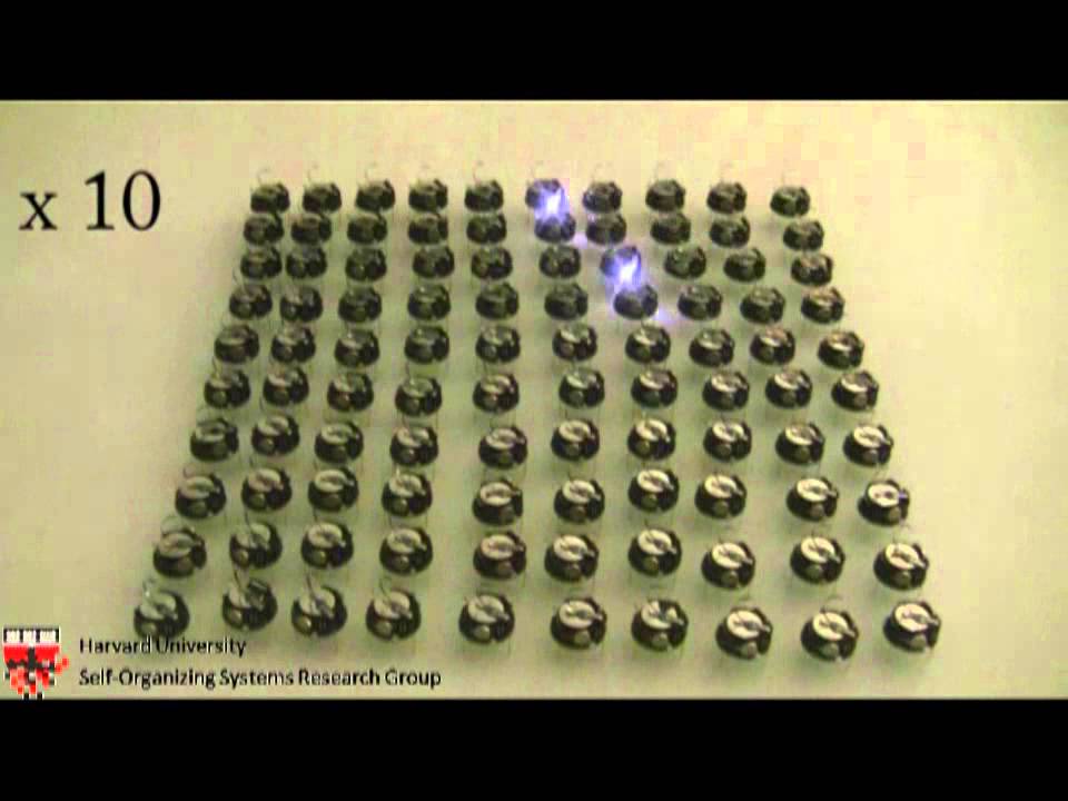 Kilobot firefly-based synchronization - YouTube