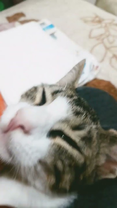 29 Mart 2024 - YouTube