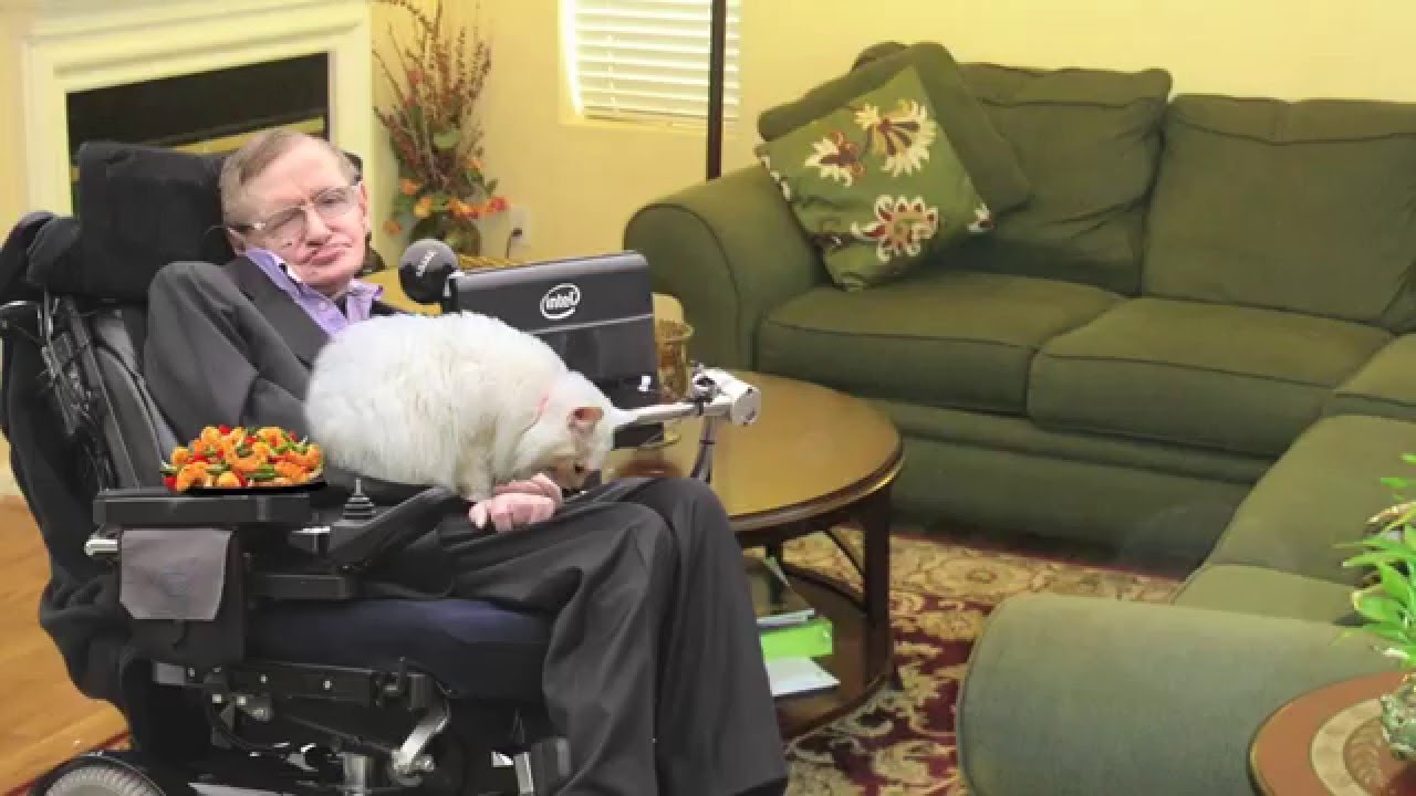 Stephen Hawking Talking to His Cat - YouTube