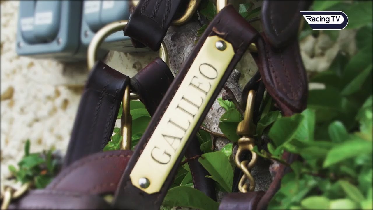 Galileo - the story of the super-stallion - in the words of Aidan O ...