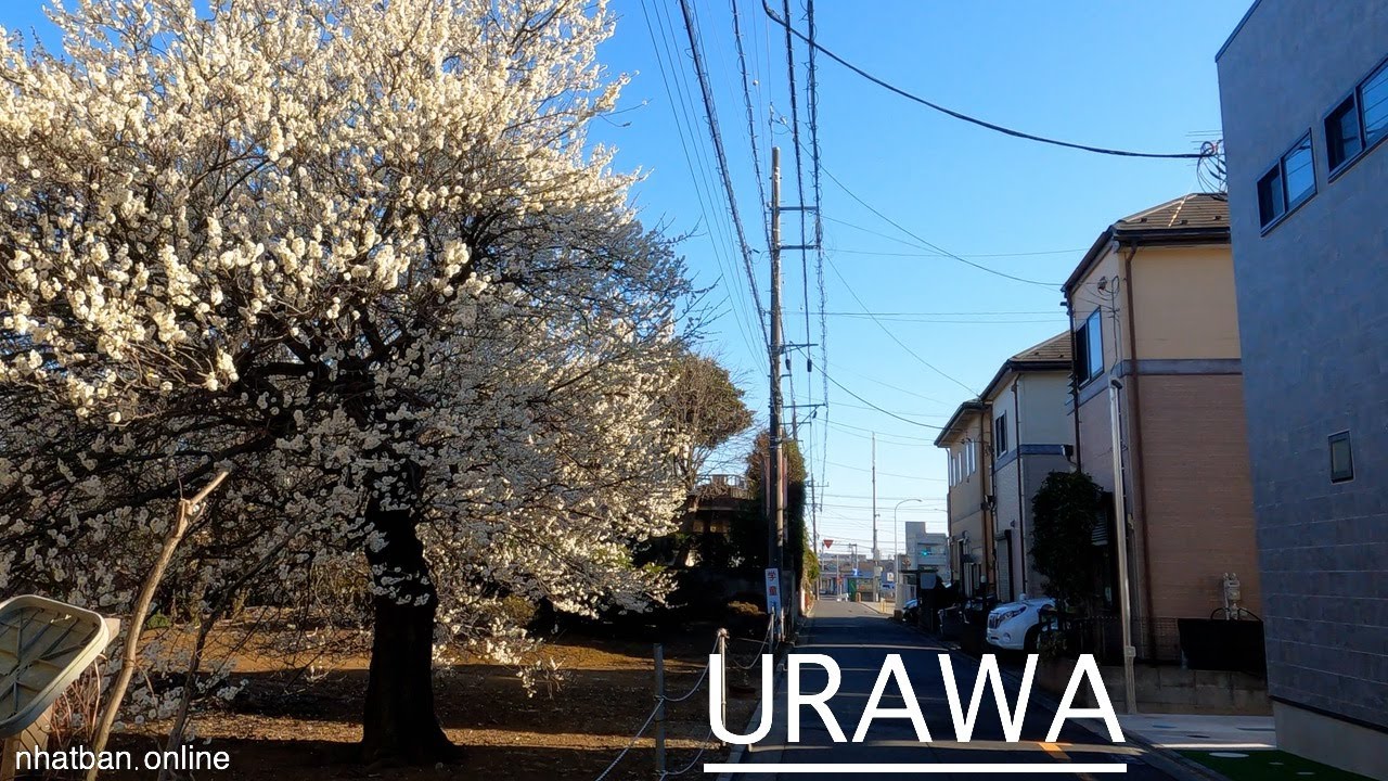 Urawa walking tour on the wind day | Japan Walk @Explore-Japan - YouTube