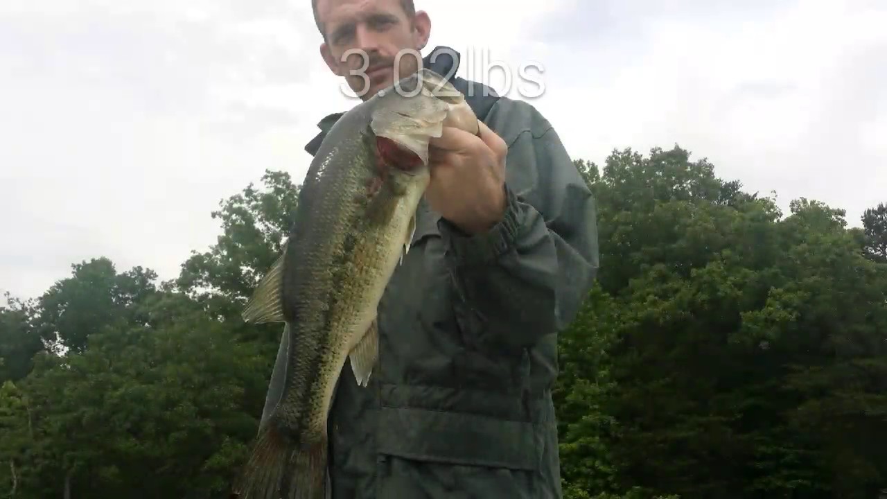 Lake Norman bass fishing - YouTube