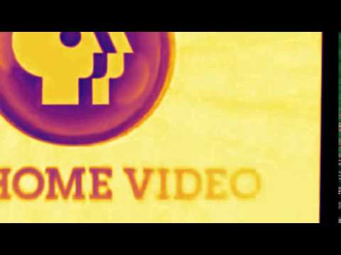 PBS Home Video Logo in Nether Camera - YouTube