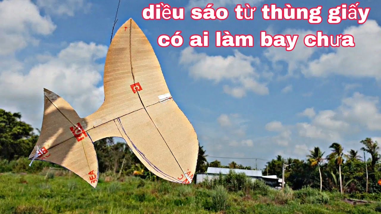 Thử Làm Diều Sáo Mini Từ Thùng Giấy Cũ Ai Mà Ngờ Được Nó Vây - YouTube