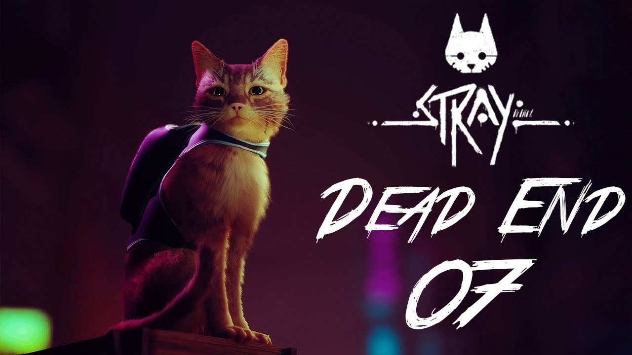 STRAY [Chapter 7: Dead End] - YouTube