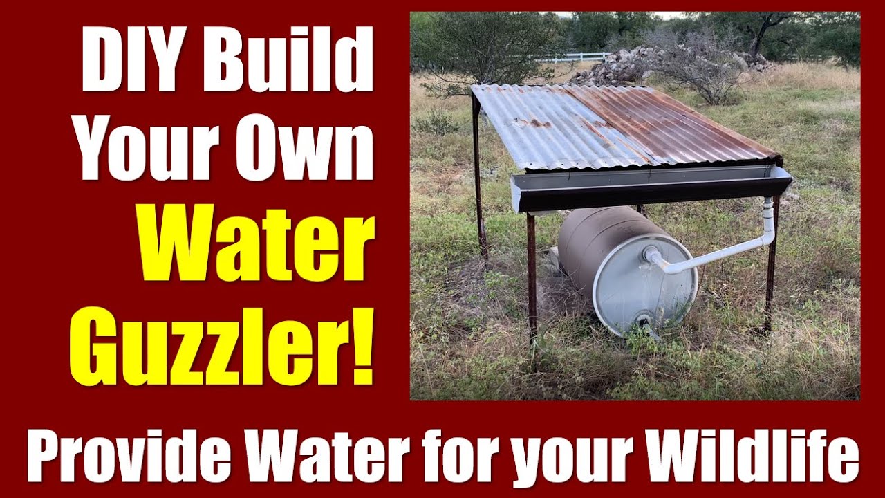 💧Build Your Own WATER GUZZLER! ♻ Provide Supplemental Water for ...