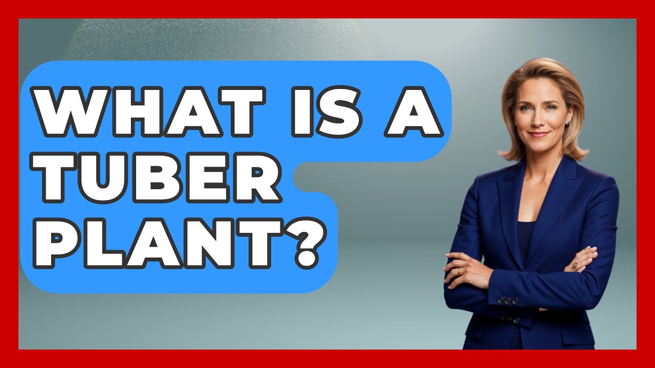 What Is A Tuber Plant? - The Plant Enthusiast - YouTube