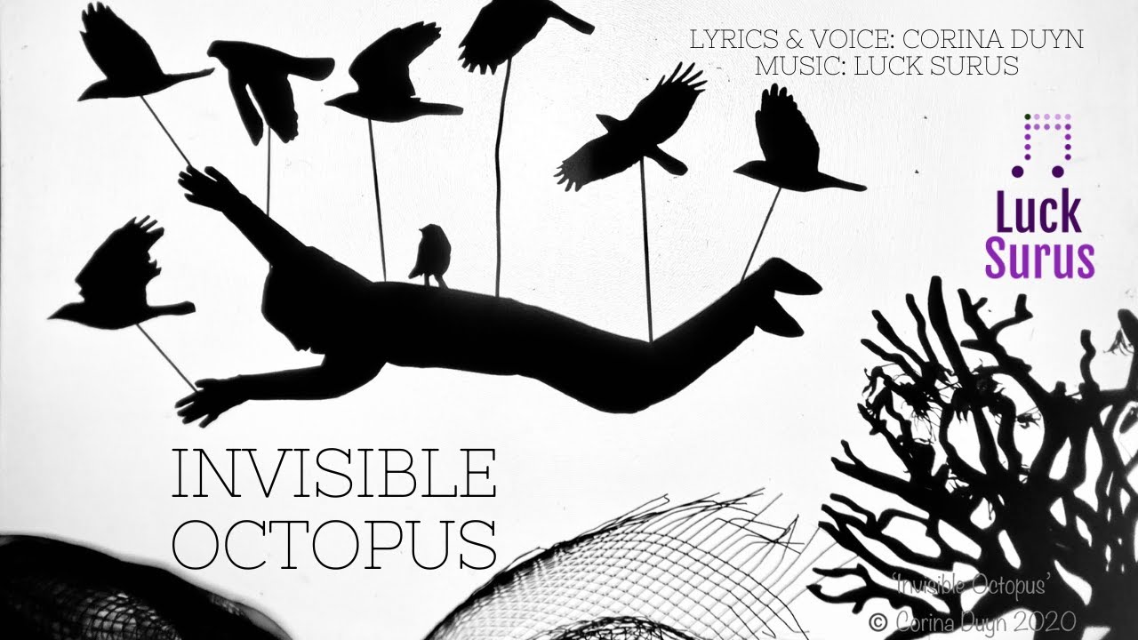 Invisible Octopus by Corina Duyn & Jeroen Niesten - YouTube