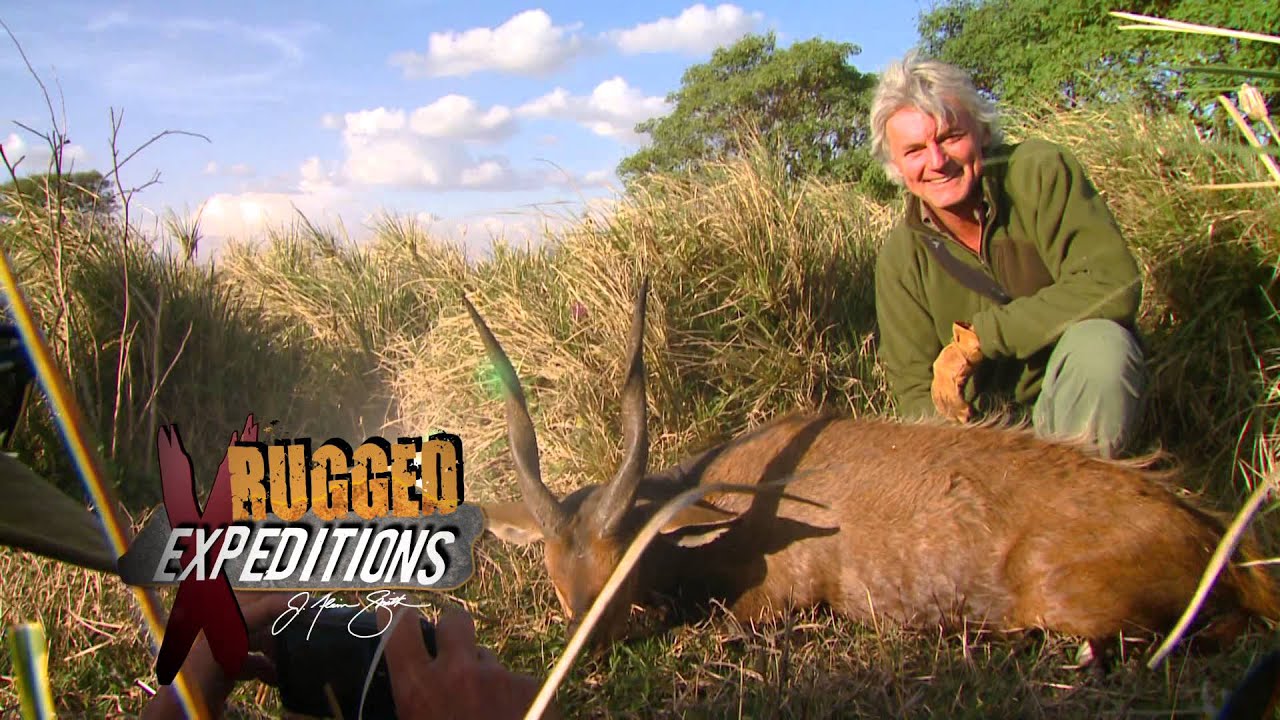 Greater Kudu and Masai Bushbuck of Tanzania - YouTube
