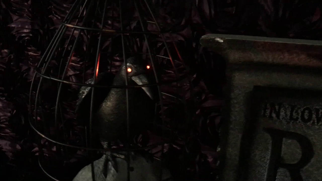 Halloween Animated crow - YouTube