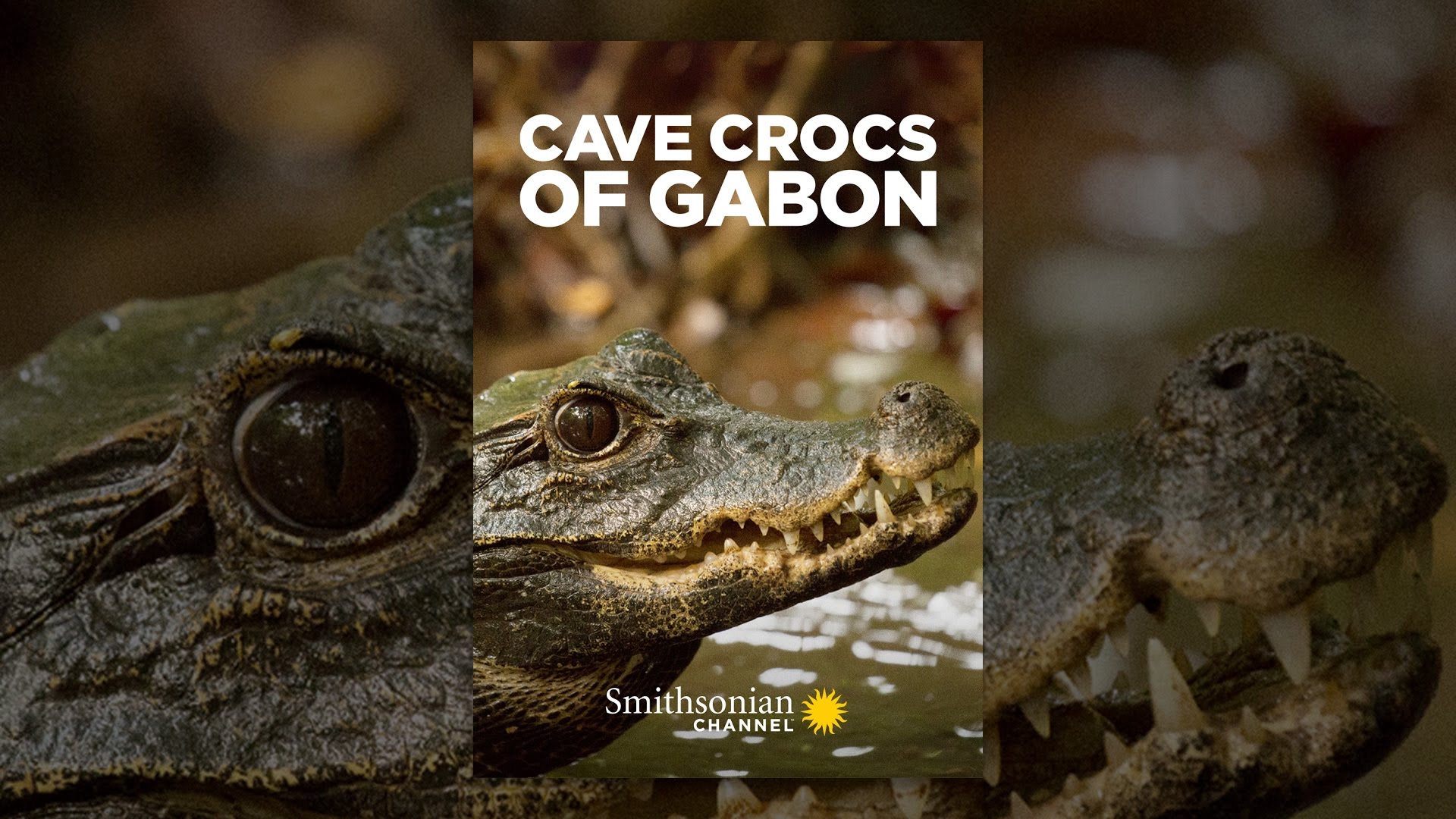 Cave Crocs of Gabon - YouTube
