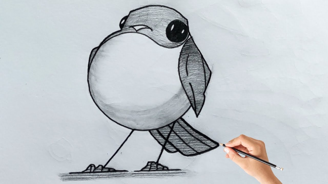 Fat Bird Drawing