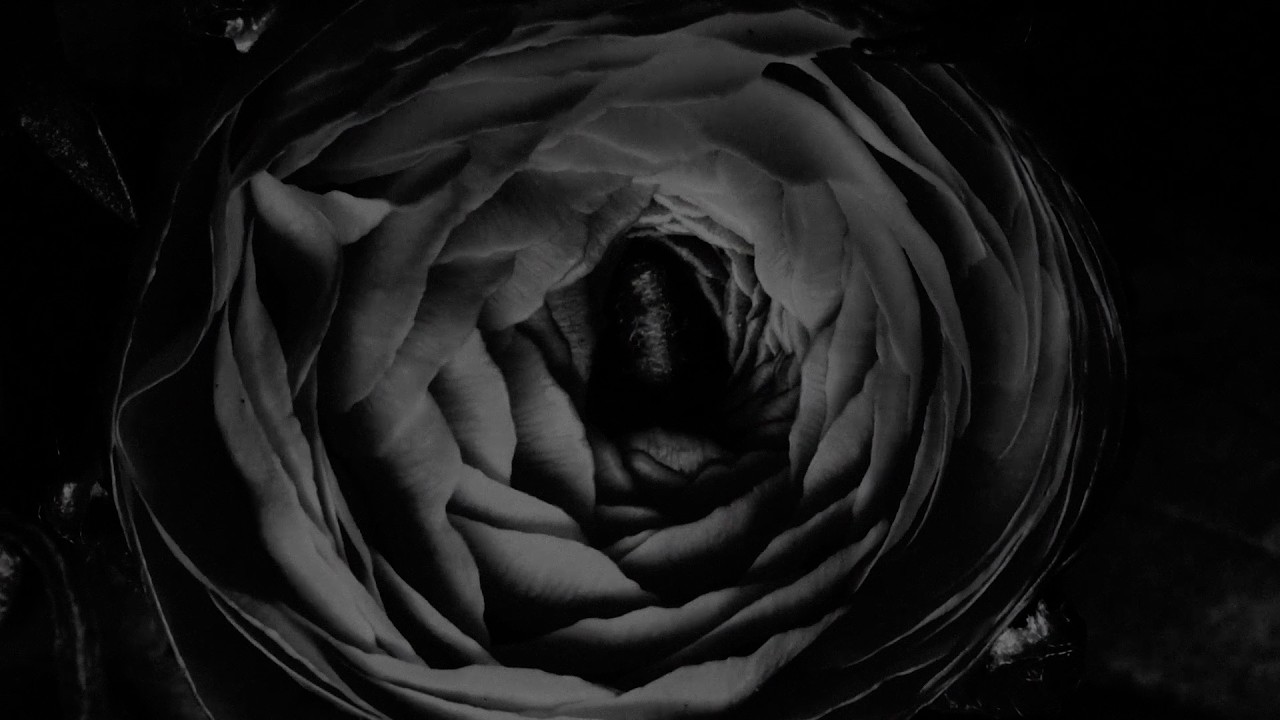 Pazuzu ORANSSI PAZUZU Announce New Album!