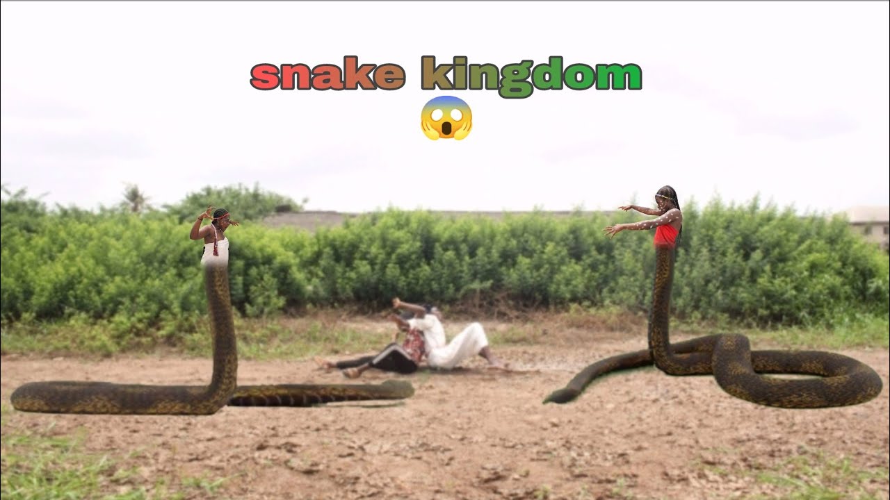 SNAKE KINGDOM 😱 MR MACARONI FT PROPHET MOVEMENT COMEDY TV - YouTube