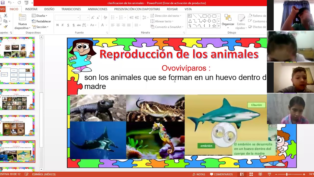 TALLER DE CIENCIAS- LOS ANIMALES - YouTube